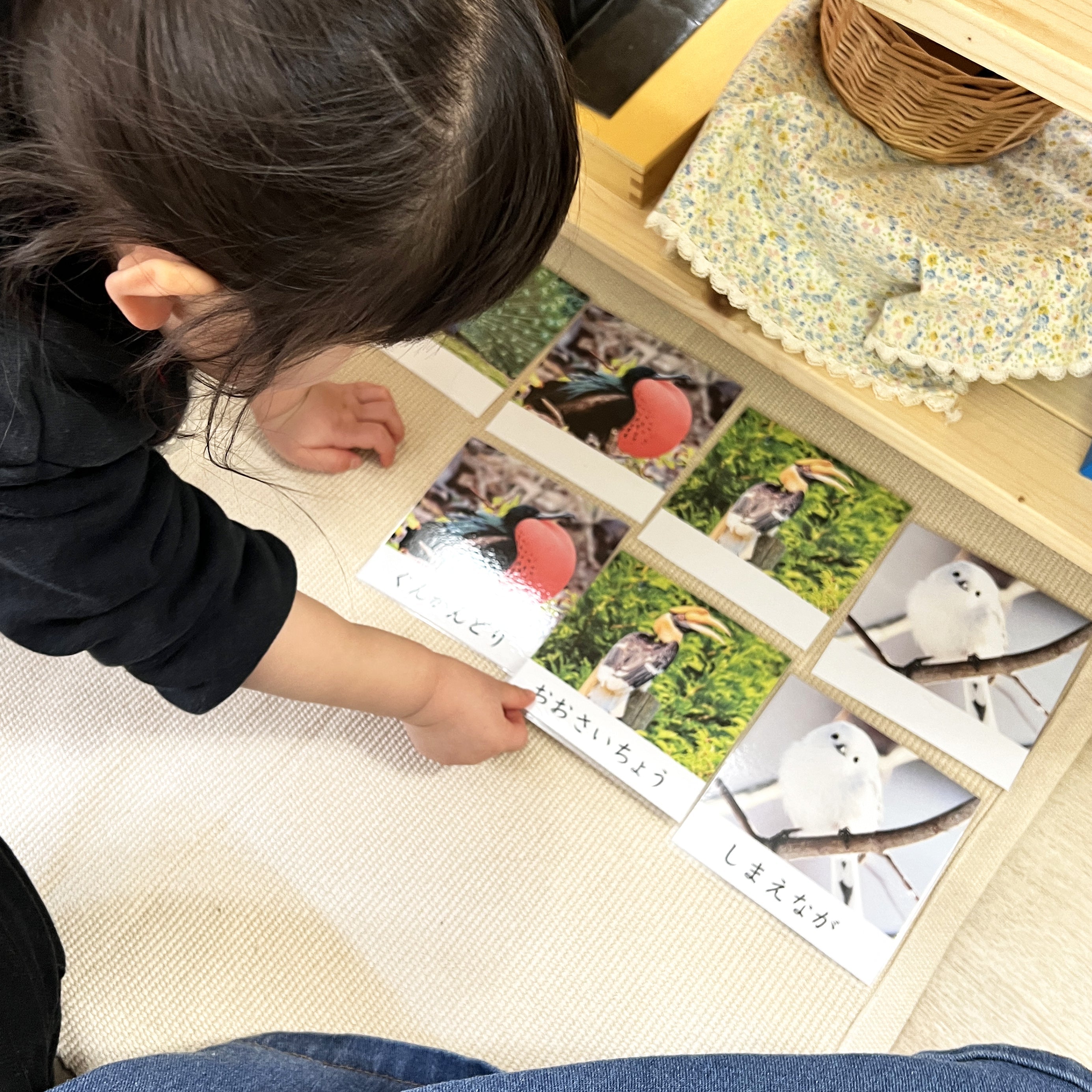 Montessori 3-Part Cards – Montessori Resource Store Bambino