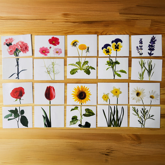 Leaf and Flower Matching Cards – Montessori Resource Store Bambino