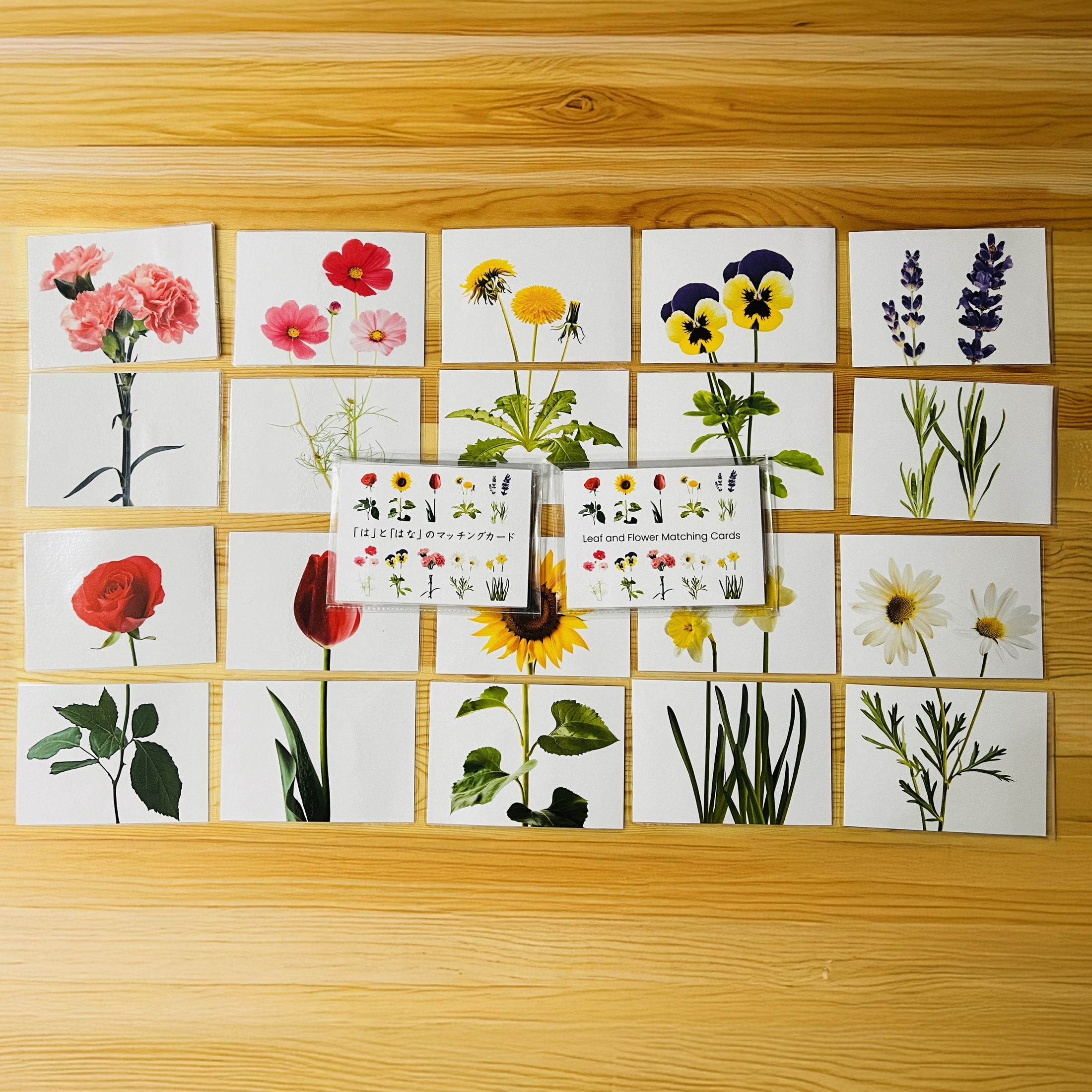 Leaf and Flower Matching Cards – Montessori Resource Store Bambino