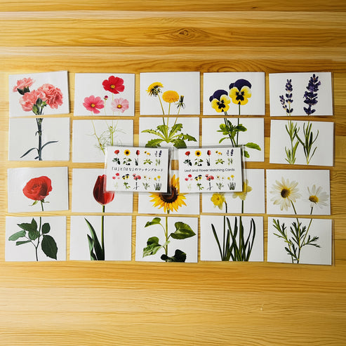 Leaf and Flower Matching Cards – Montessori Resource Store Bambino