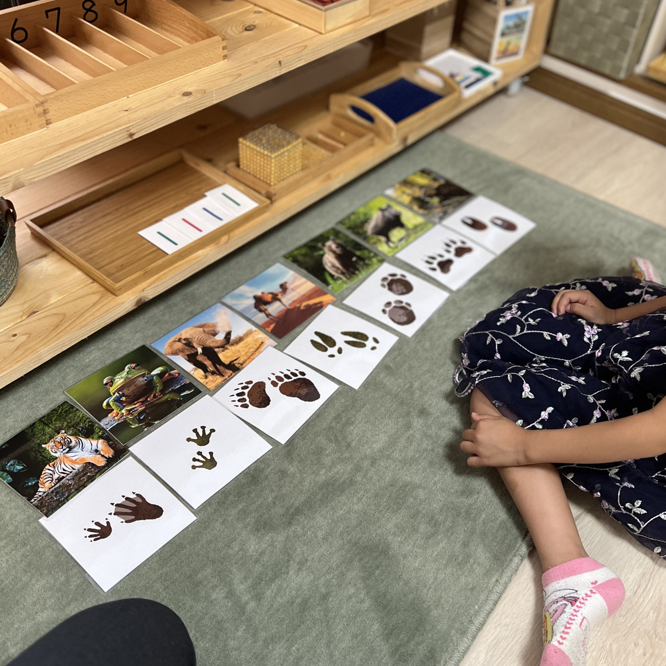 Animal Footprint Picture Cards (Cultural Education) – Montessori ...