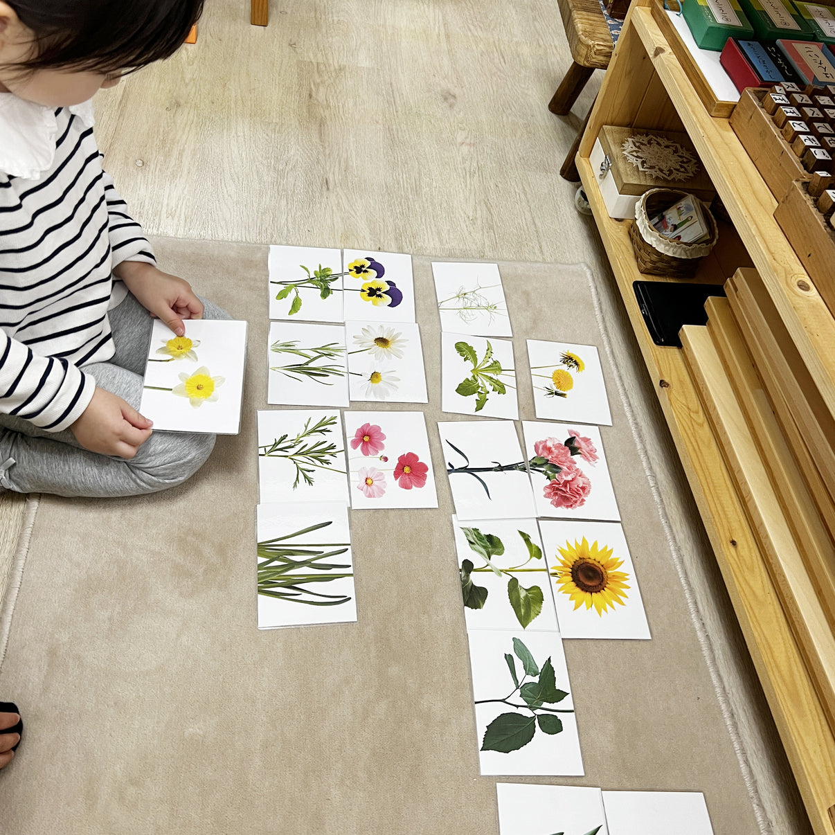 Leaf and Flower Matching Cards – Montessori Resource Store Bambino