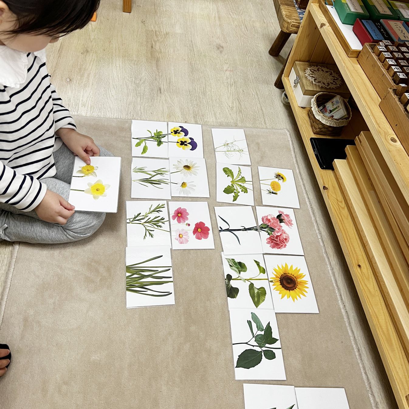 Leaf and Flower Matching Cards – Montessori Resource Store Bambino