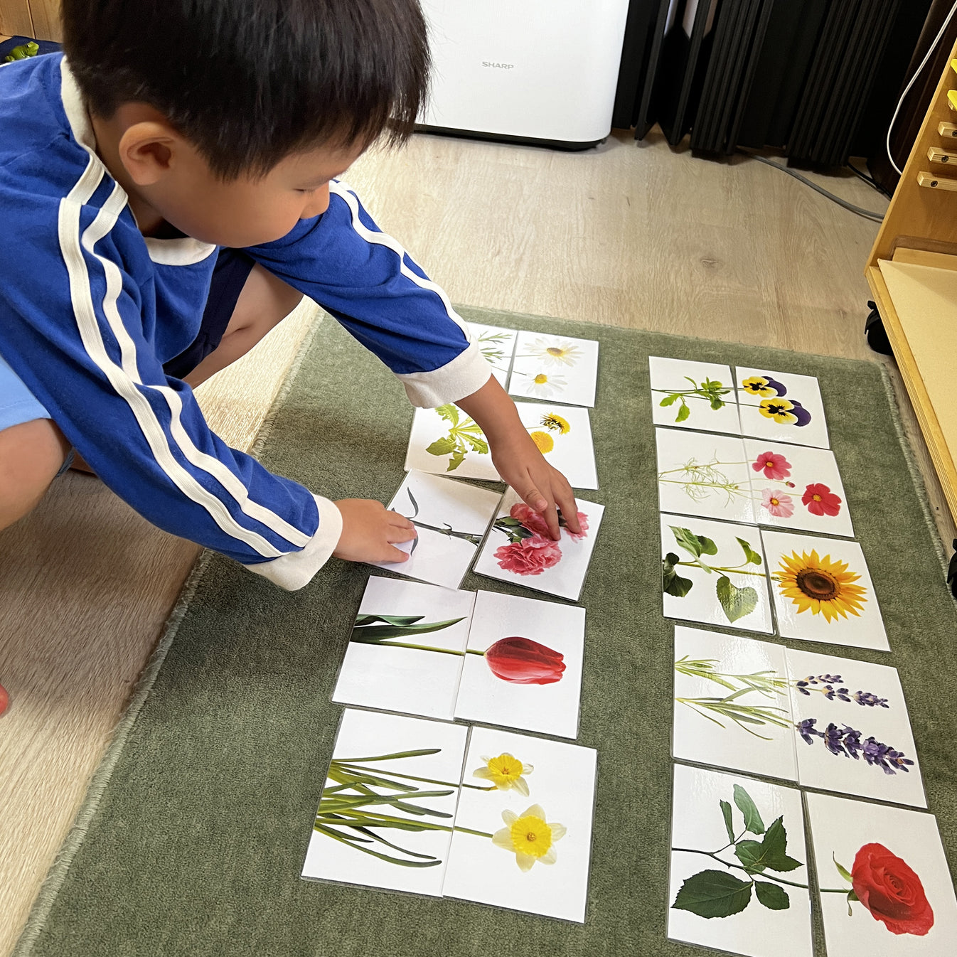Leaf and Flower Matching Cards – Montessori Resource Store Bambino