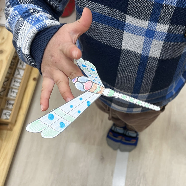 Balancing toy：Dragonfly – Montessori Resource Store Bambino