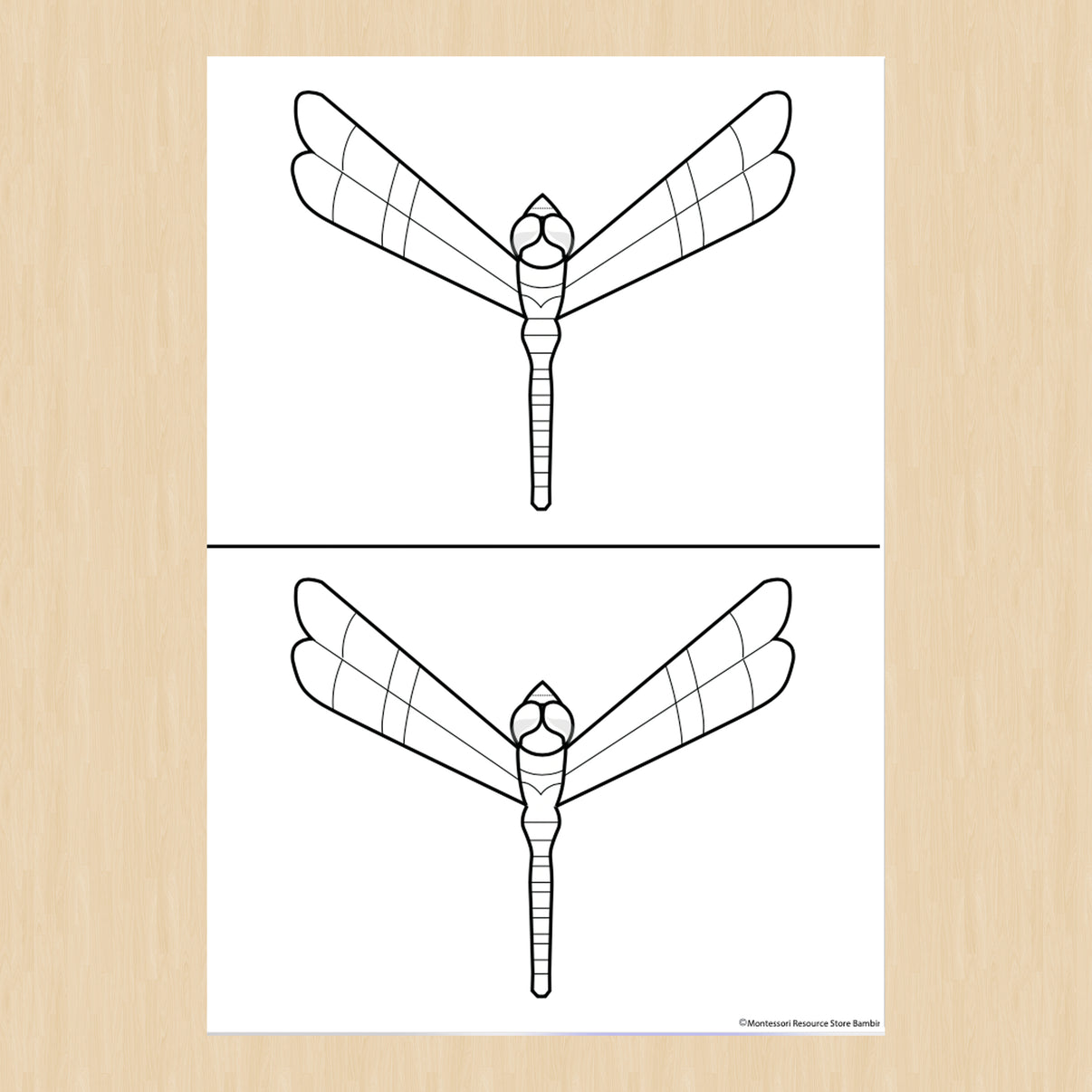 Balancing toy：Dragonfly – Montessori Resource Store Bambino