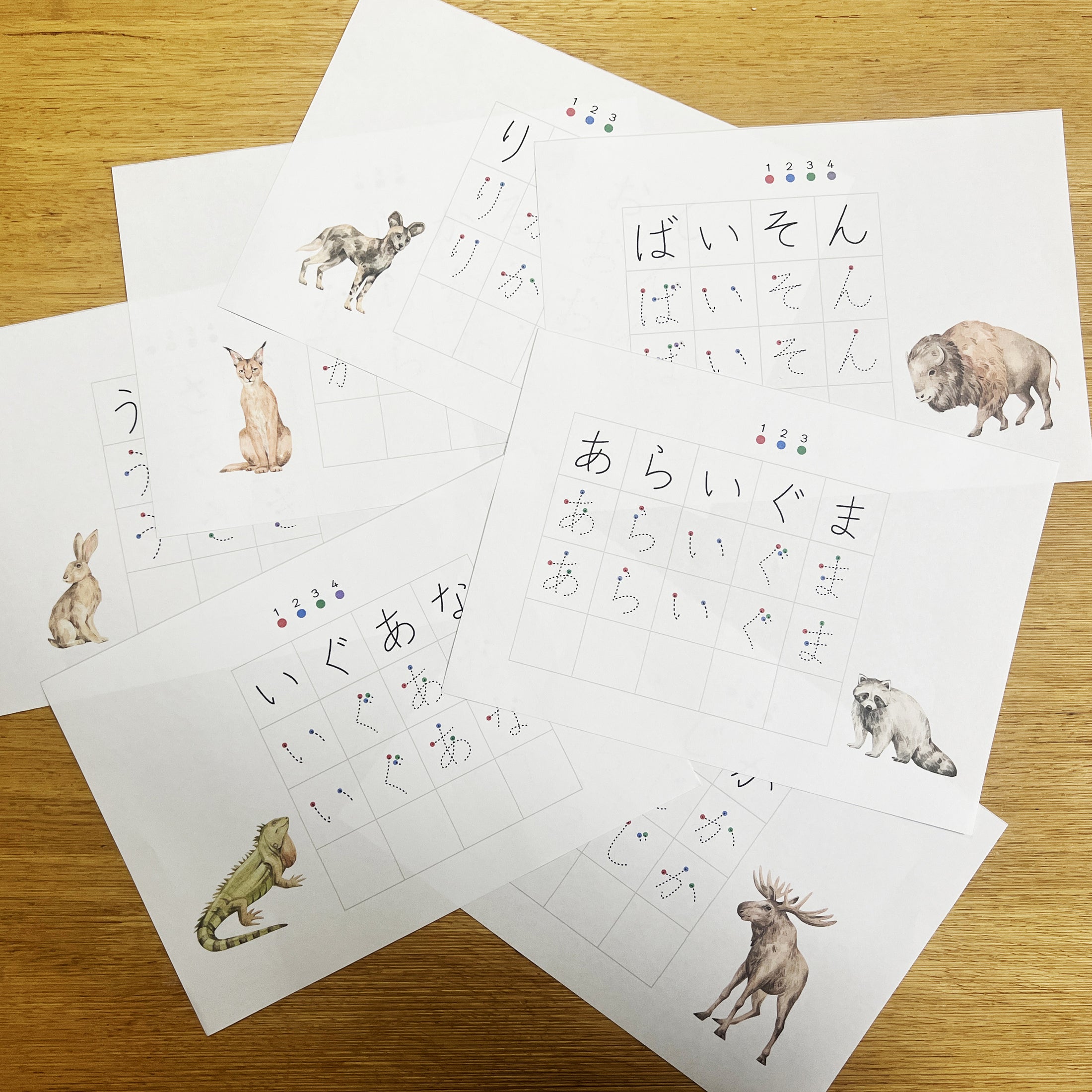 Learn Japanese Hiragana with Animals – Montessori Resource Store Bambino
