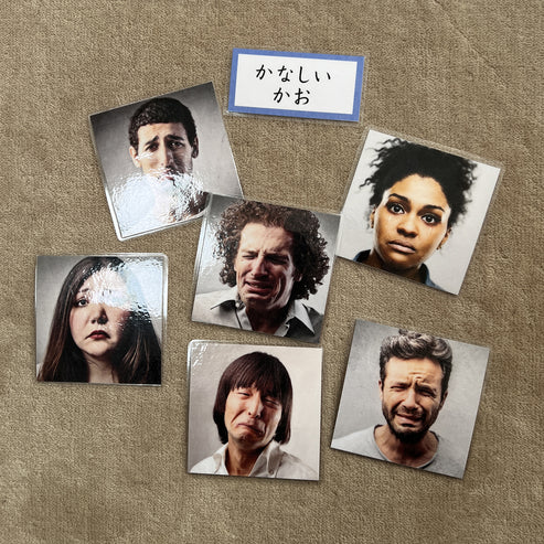 Learn Emotions with Fun Faces! Emotion Recognition Card Set ...