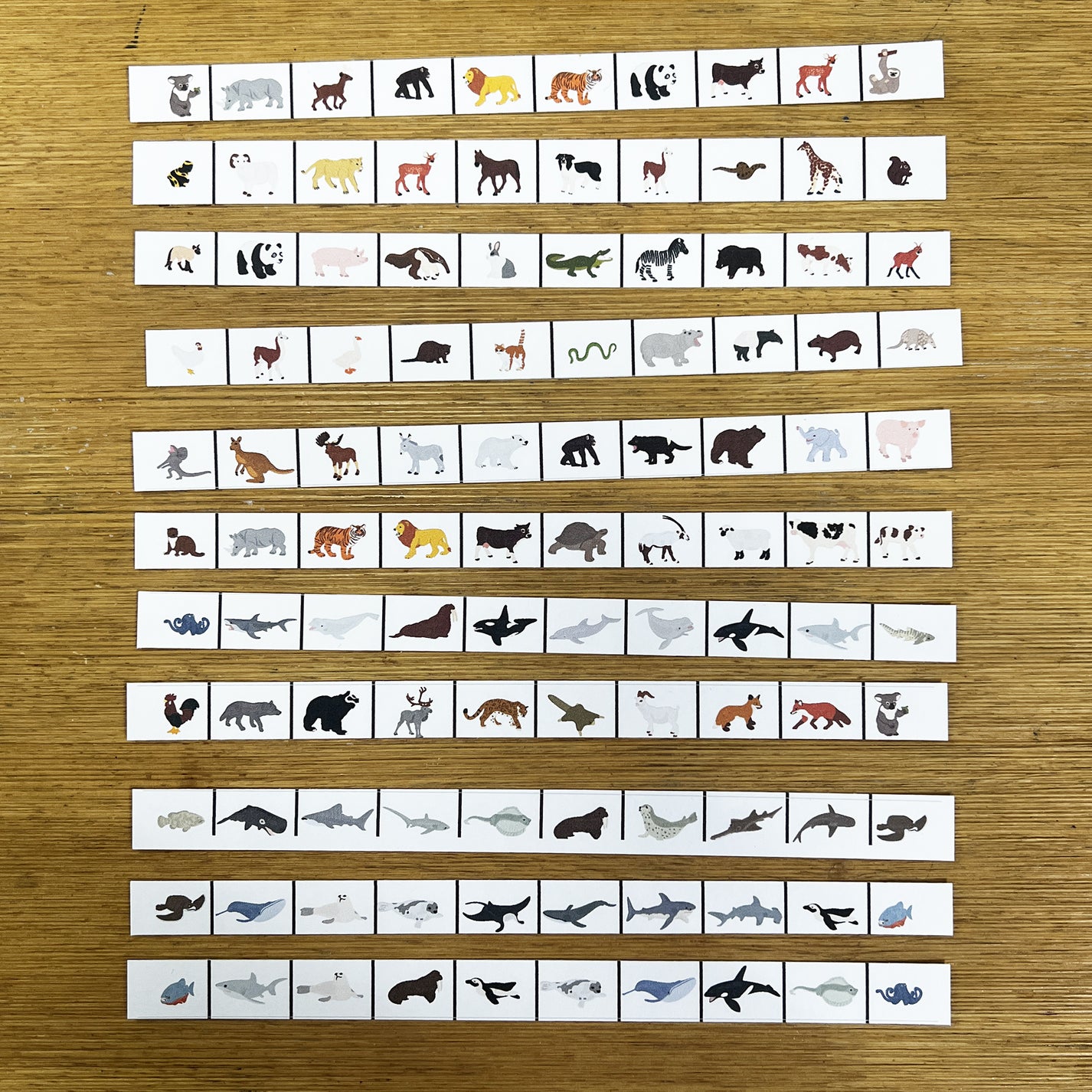 Simple Cutting Strips for Scissor Practice – Animals – Montessori ...