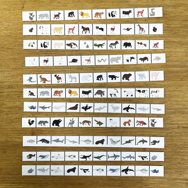 Simple Cutting Strips for Scissor Practice – Animals – Montessori ...