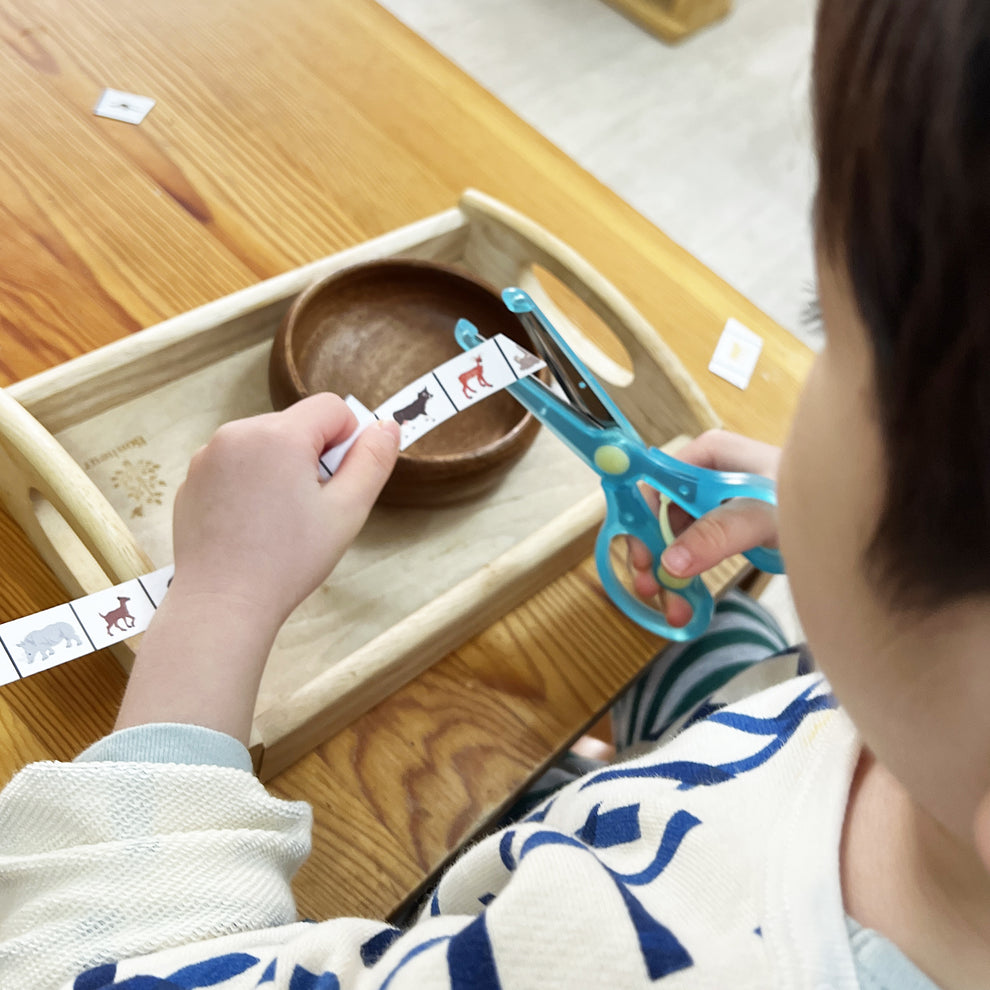 Simple Cutting Strips for Scissor Practice – Animals – Montessori ...