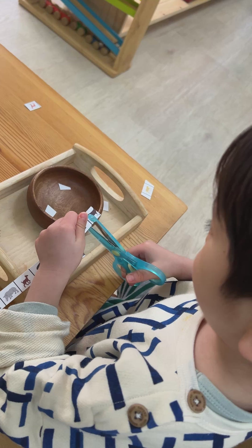 Simple Cutting Strips for Scissor Practice – Animals – Montessori ...