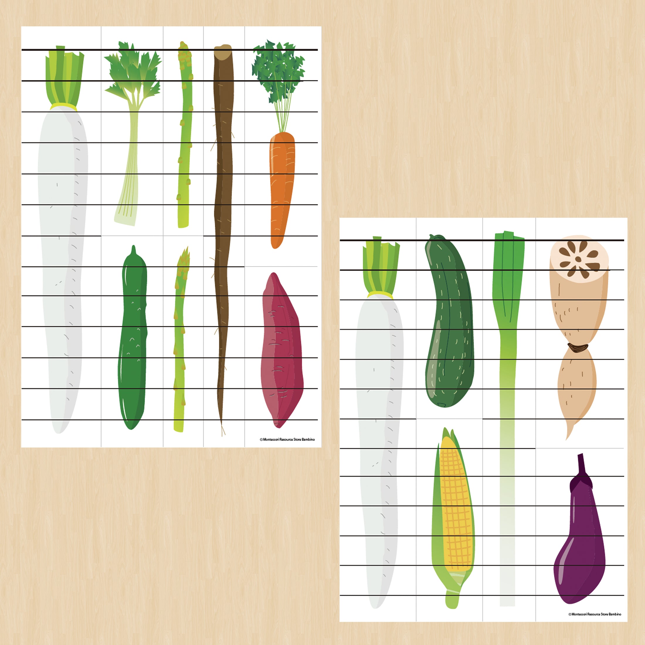 Vegetables Cutting Strips – Montessori Resource Store Bambino